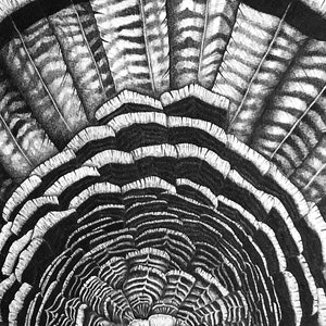 Art Print 30x22.5, honor Thy Mother nature Sanskrit Prayer, Grasses ...