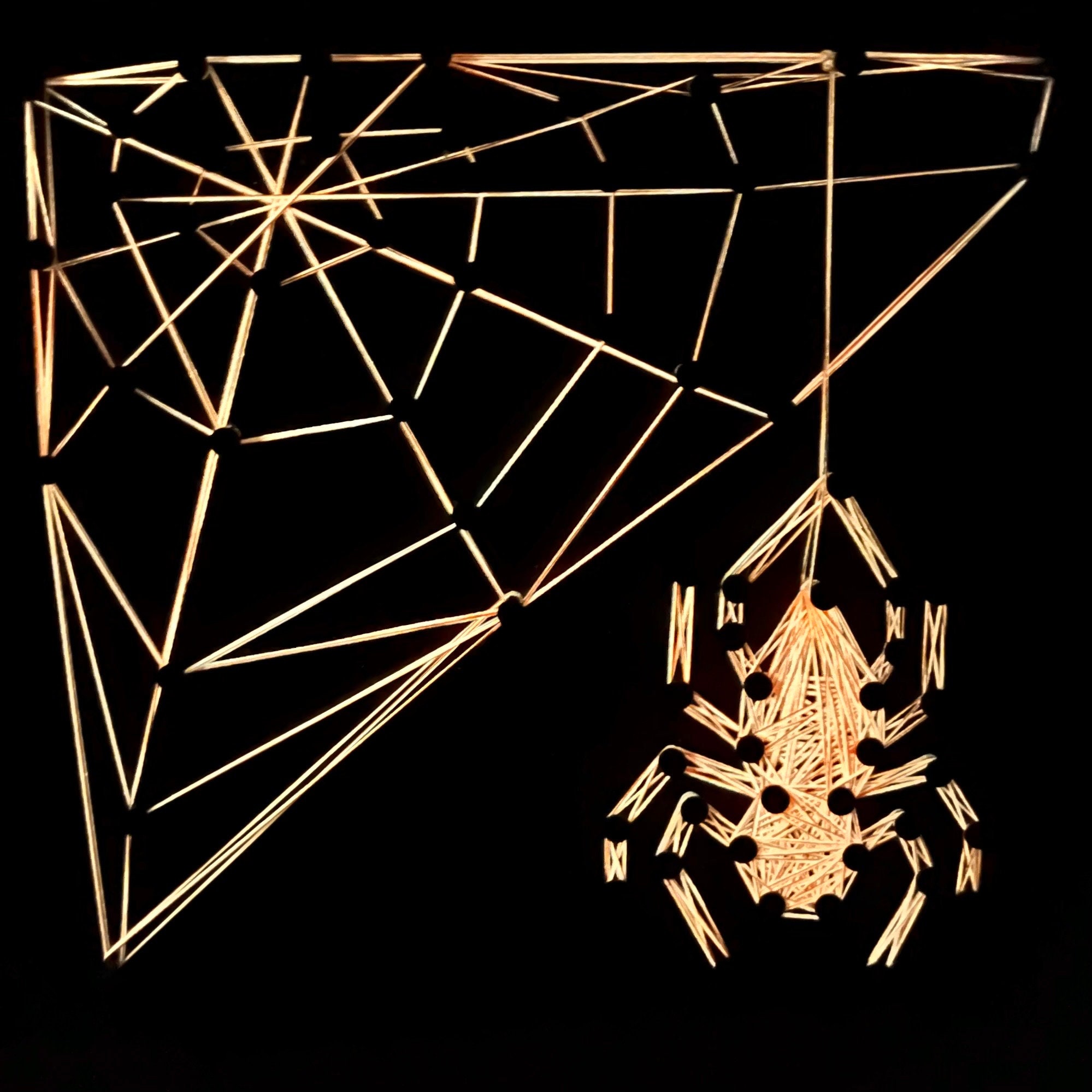 Spider & Web Halloween Glow in the Dark Blacklight Spooky Spiderweb ...