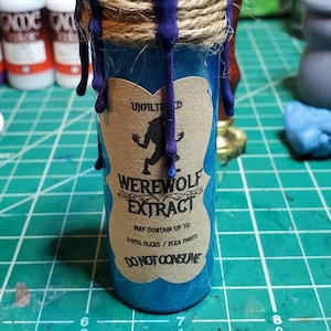 Magic D20 Potion - Etsy