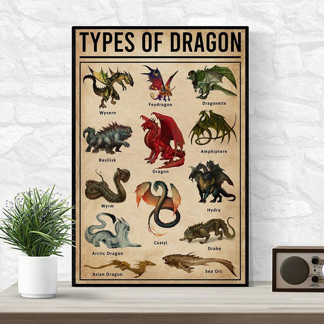 Types of Dragon Vertical Poster, Dragon Knowledge Poster, Dragon Poster ...