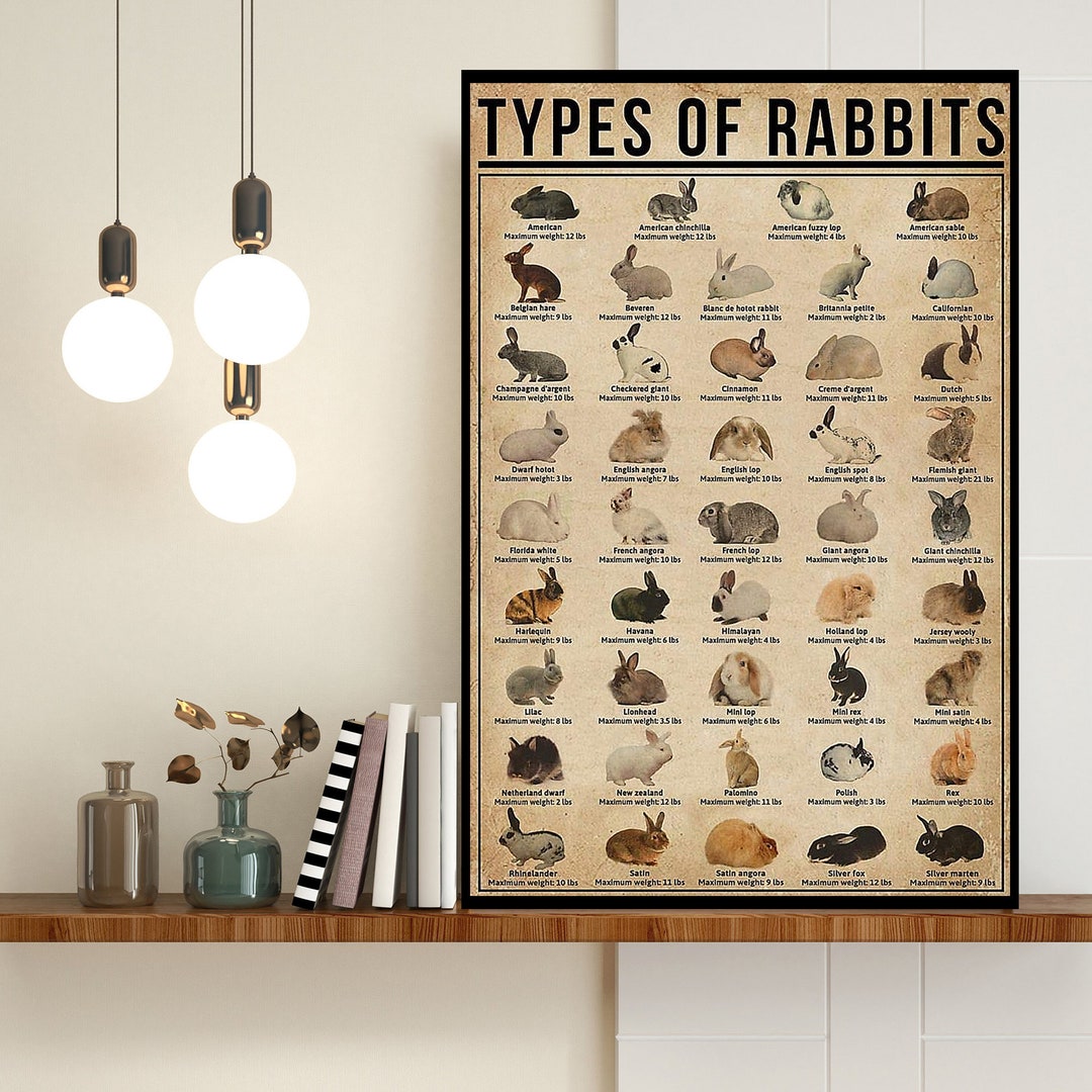 Types of Rabbits Poster, Rabbits Poster, Vintage Rabbit Wall Art ...