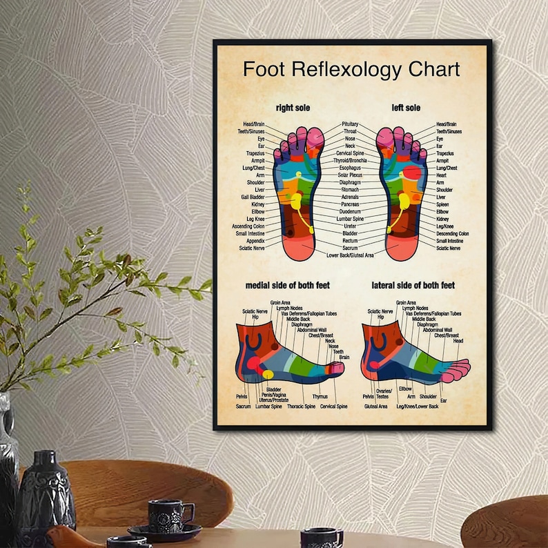 Foot Reflexology Chart Poster, Foot Reflexology Poster, Massage Therapist Foot Reflexology Chart ...