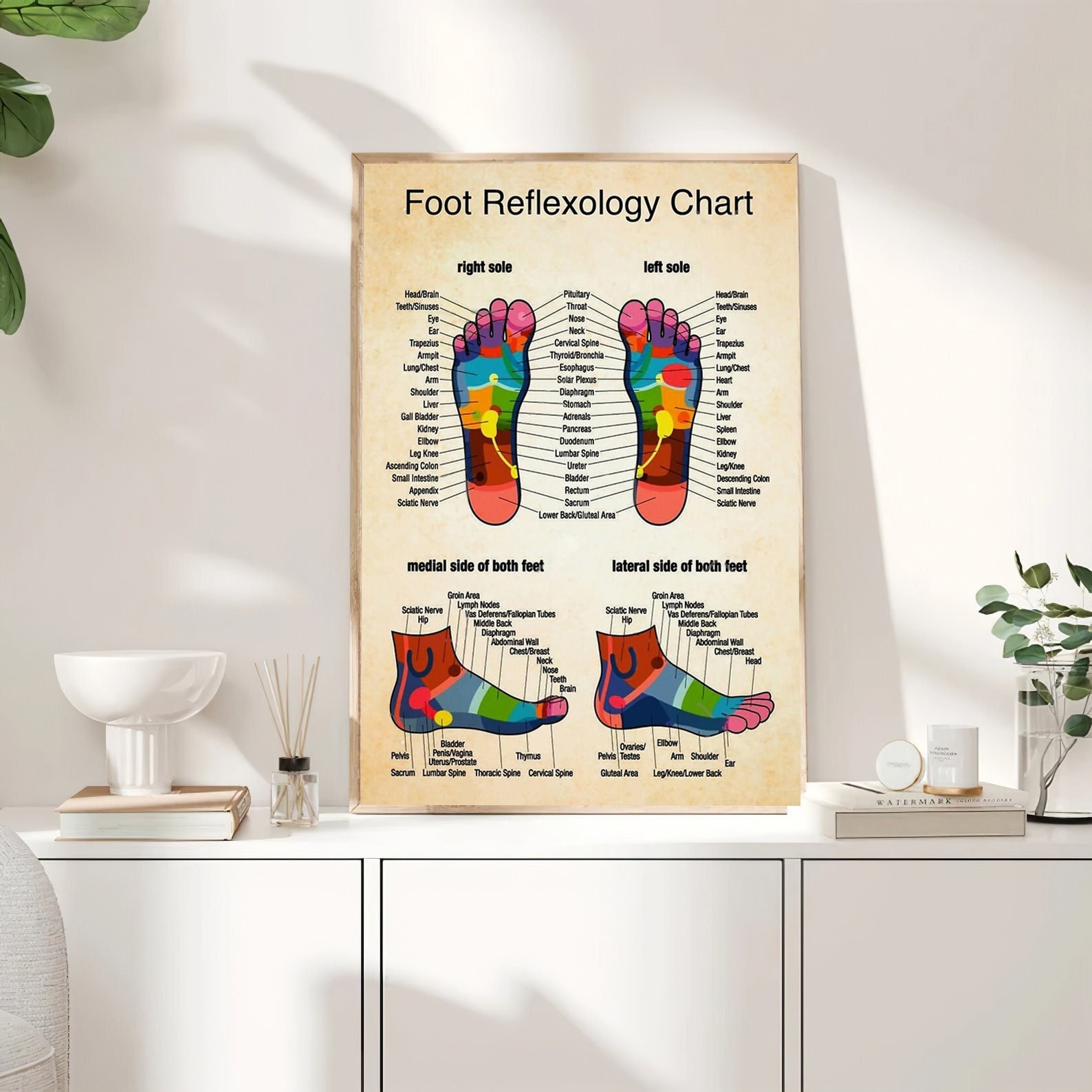 Foot Reflexology Chart Poster, Foot Reflexology Poster, Massage Therapist Foot Reflexology Chart ...