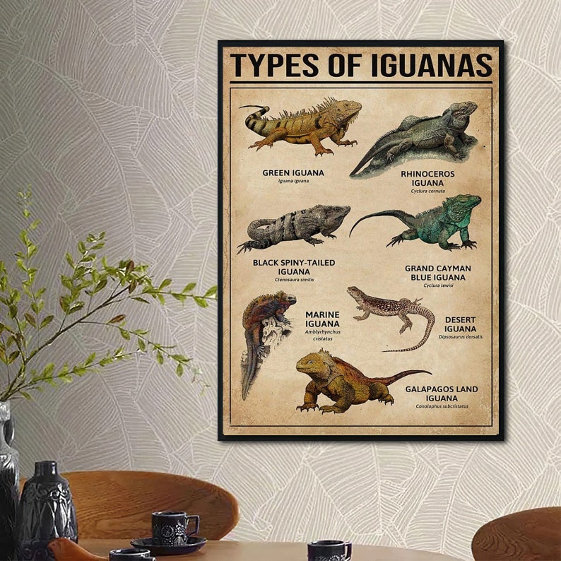 Types of Iguanas Vertical Poster Types of Iguanas Poster - Etsy