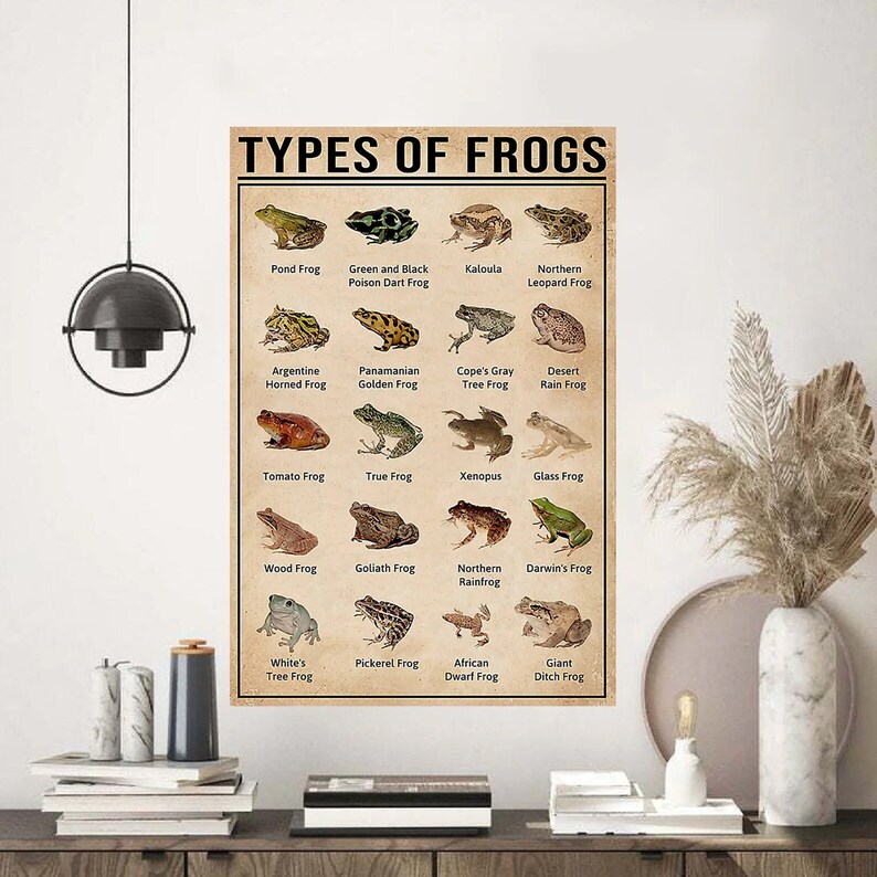 Types of Frogs Poster Frog Wall Art Frogs Vintage Poster - Etsy