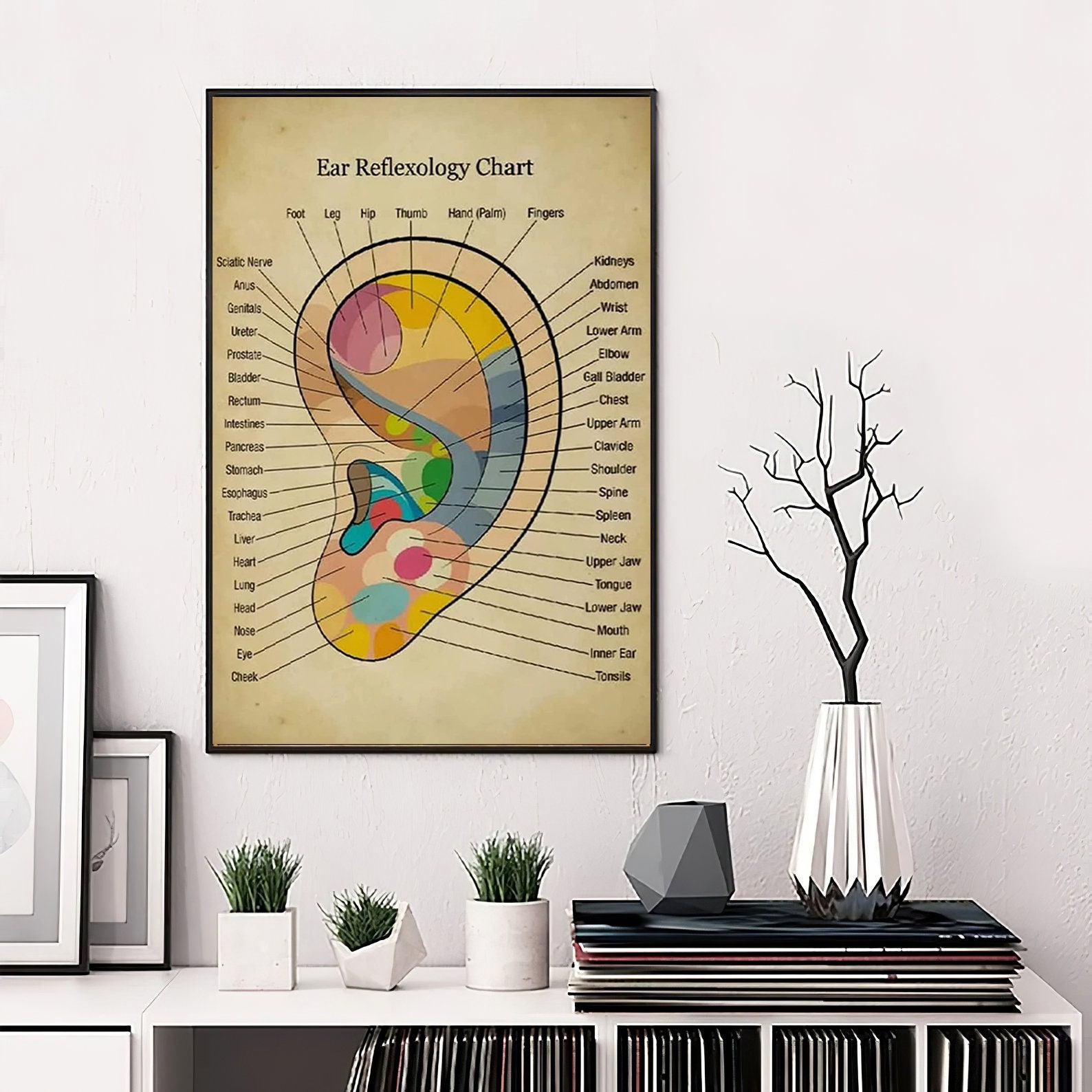 Ear Reflexology Chart Poster Ear Chart Poster Chart Poster, 42% OFF