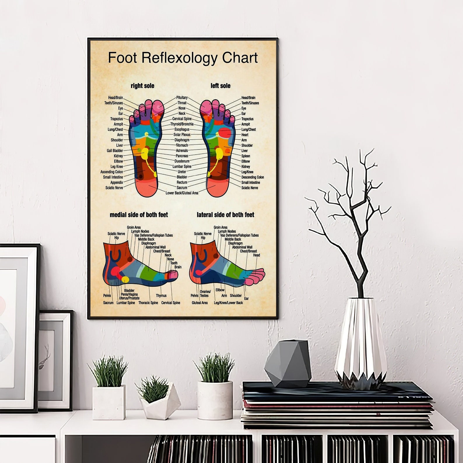 Foot Reflexology Chart Poster, Foot Reflexology Poster, Massage Therapist Foot Reflexology Chart ...