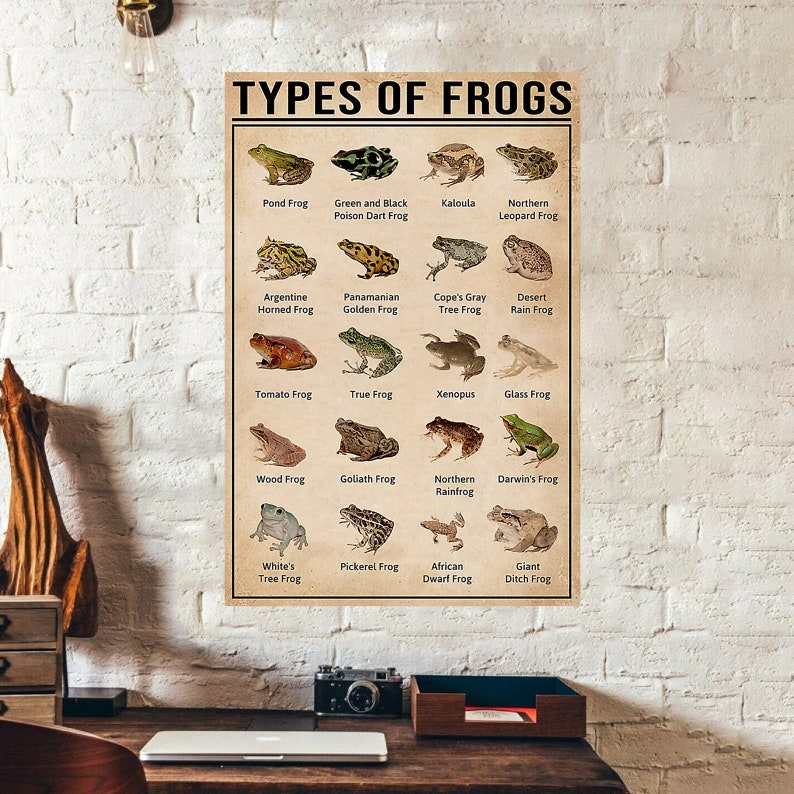 Types of Frogs Poster Frog Wall Art Frogs Vintage Poster - Etsy