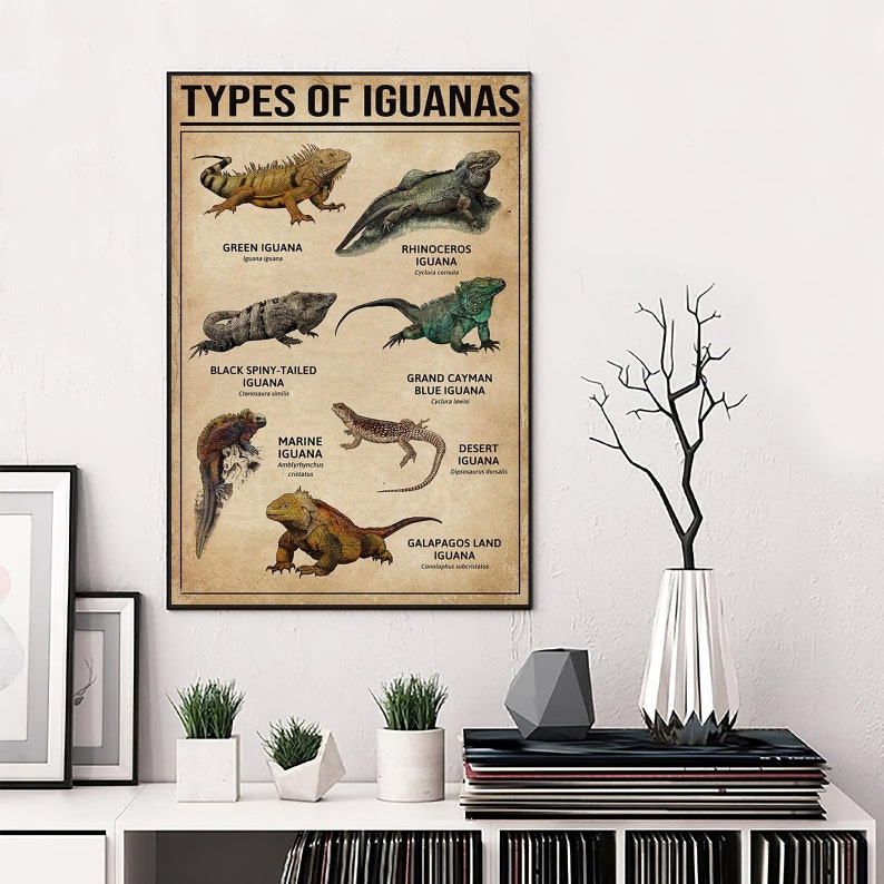 Types of Iguanas Vertical Poster Types of Iguanas Poster - Etsy