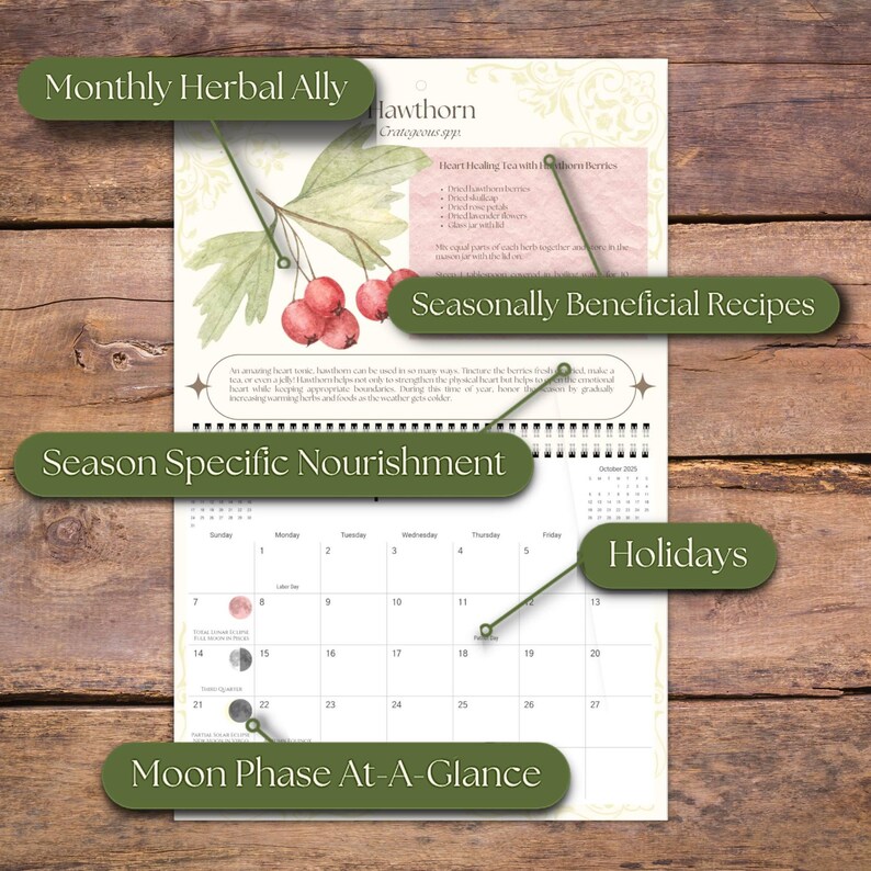 SEASONAL HERBS Calendar 2026 | Herbalist Plant Lovers Recipes, Lunar ...