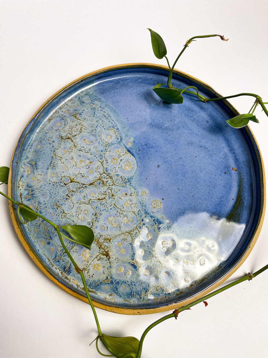 Floating Waters and Water Crystals Dinner Plate - Etsy