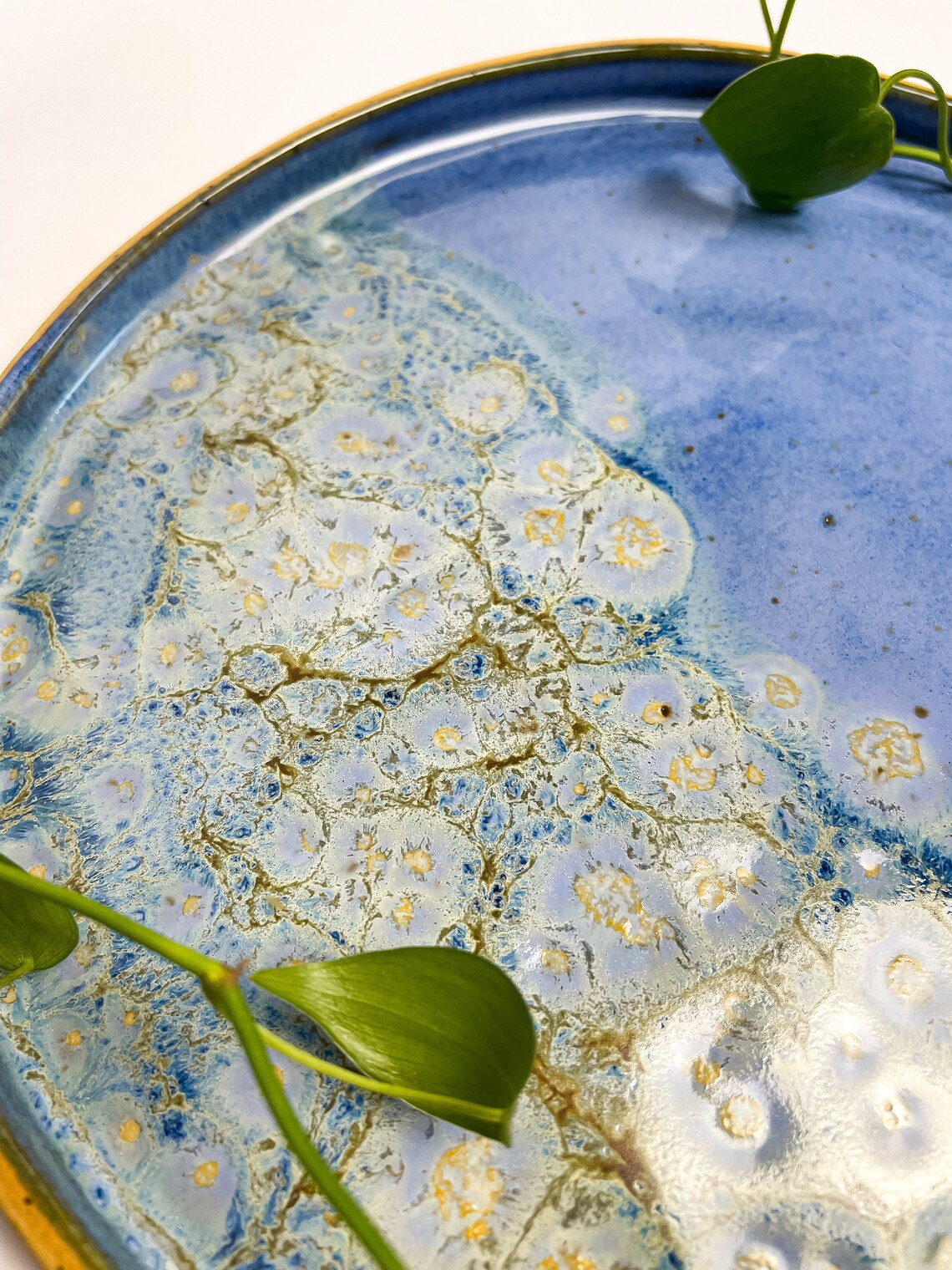 Floating Waters and Water Crystals Dinner Plate - Etsy