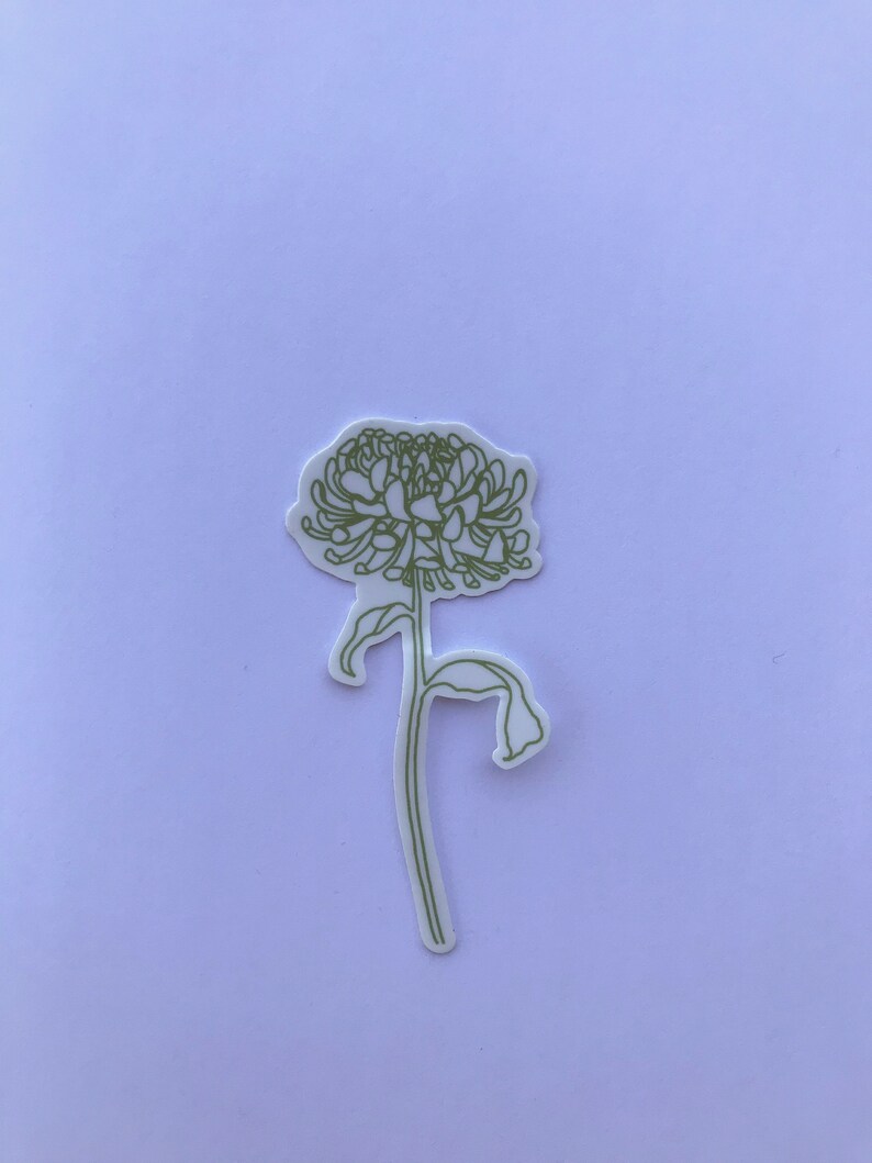 Chrysanthemum | Original Art Sticker - Etsy