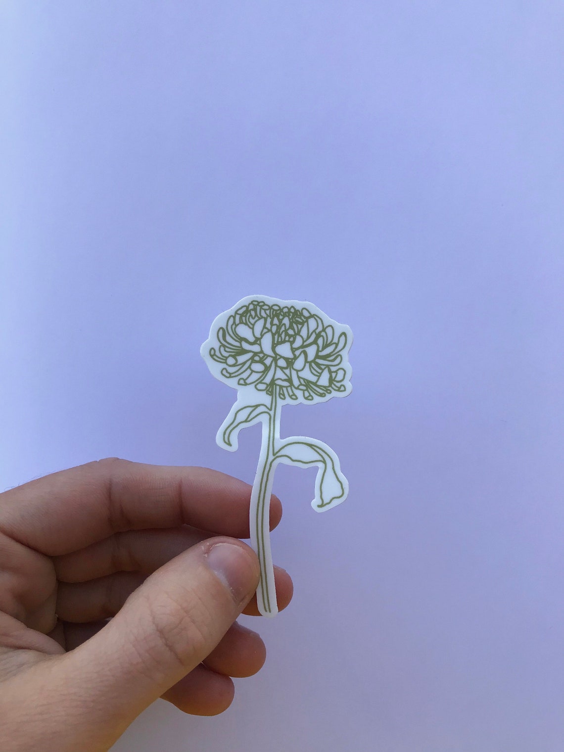Chrysanthemum | Original Art Sticker - Etsy