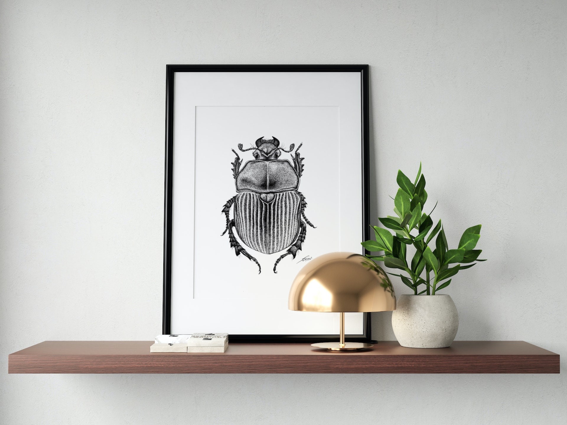 Spotted Scarab Fine Art Print Printable Scarab Ink Drawing - Etsy