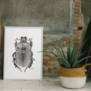 Spotted Scarab Fine Art Print, Printable Scarab Ink Drawing Wall Art ...