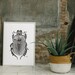 Spotted Scarab Fine Art Print, Printable Scarab Ink Drawing Wall Art ...
