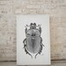 Spotted Scarab Fine Art Print, Printable Scarab Ink Drawing Wall Art ...