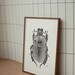 Spotted Scarab Fine Art Print, Printable Scarab Ink Drawing Wall Art ...