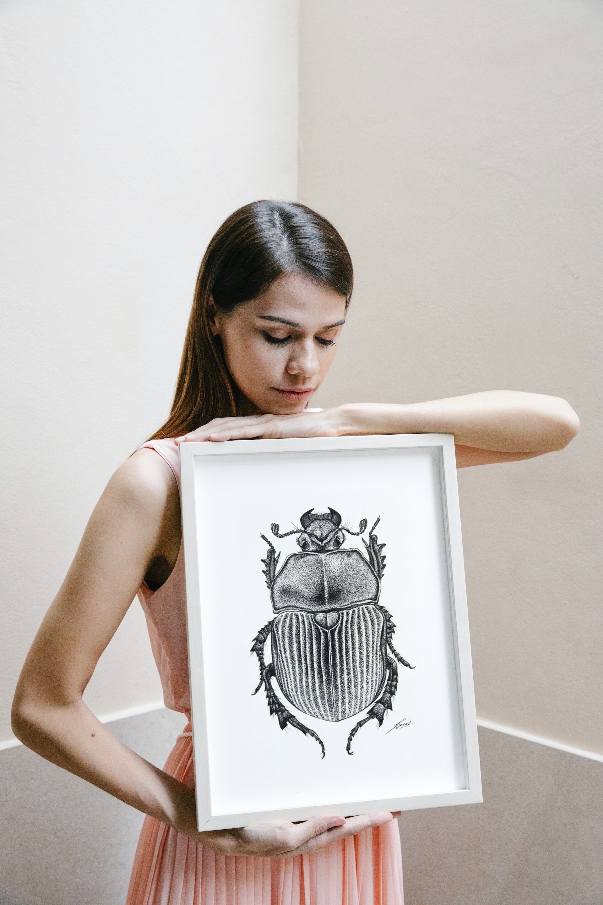 Spotted Scarab Fine Art Print Printable Scarab Ink Drawing - Etsy
