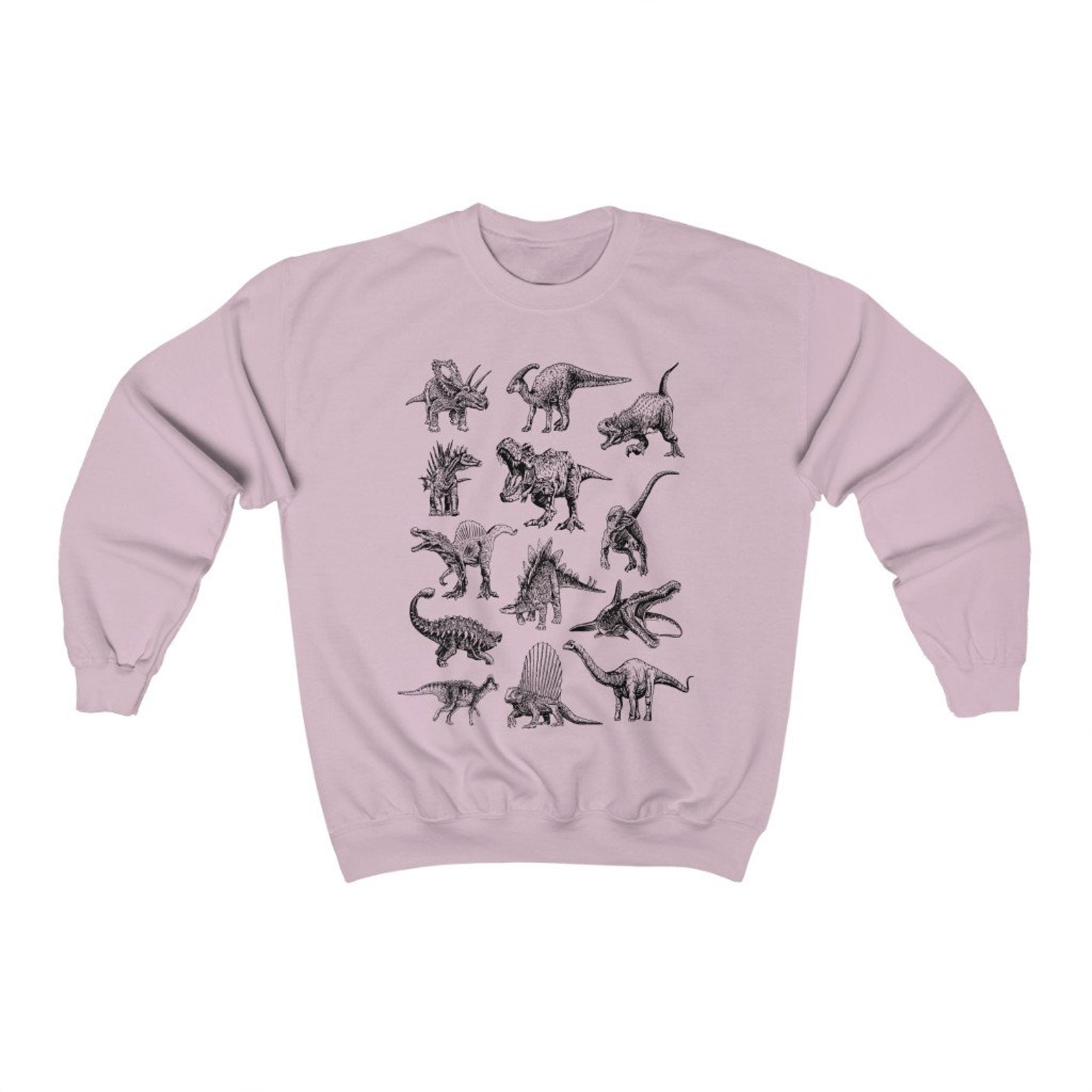 Dinosaur Sweatshirt Dinosaur Sweater Dinosaur Crewneck Dinosaur Clothes ...