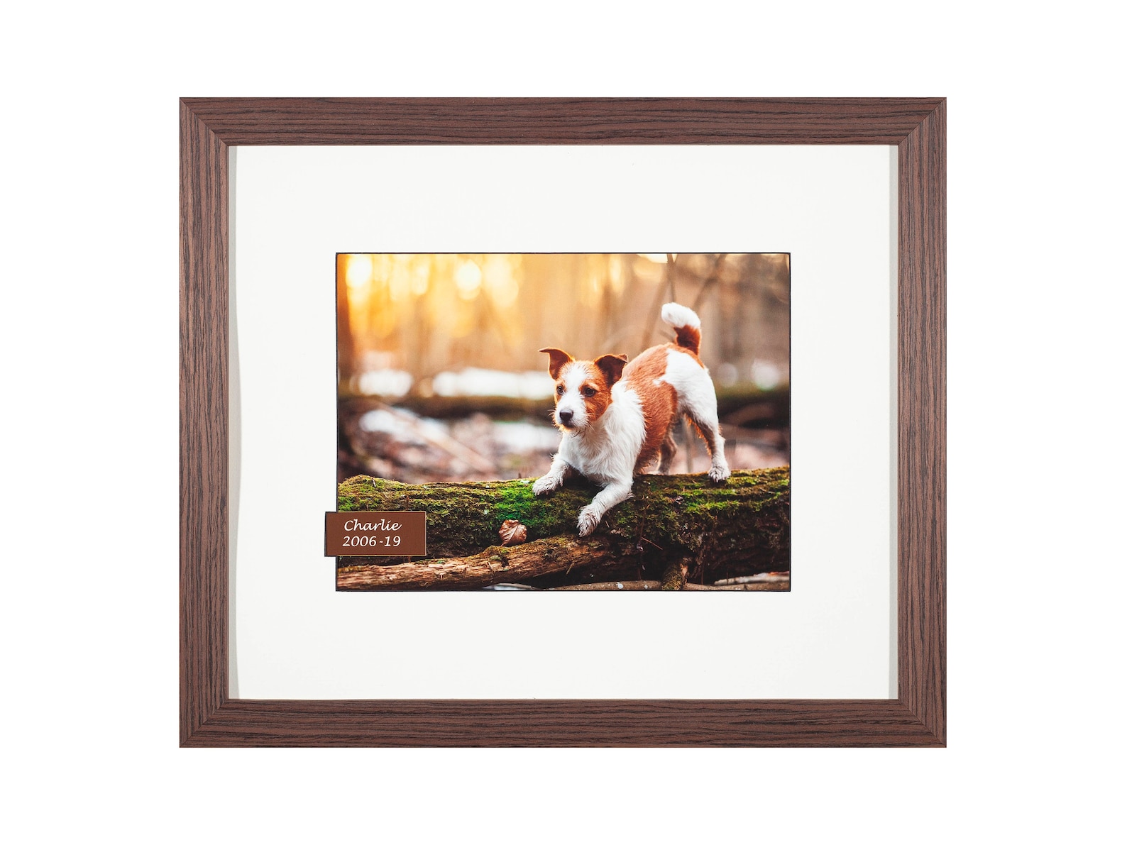 Solid Wood Pet Ashes Frame 12x10 30.5x25.4cm - Etsy UK
