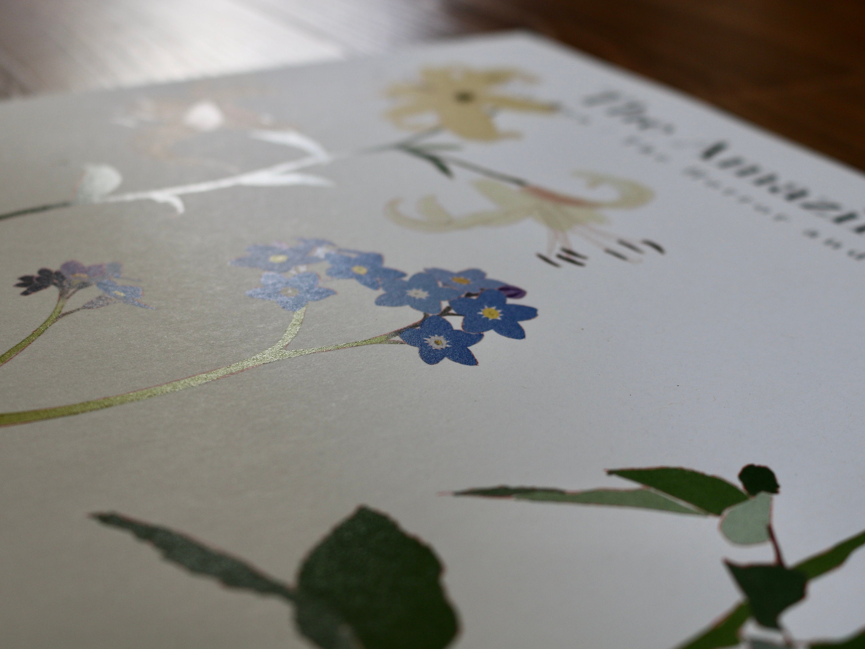 The Amazing Devil A3 Print | Botanical Drawing Joey Batey Madeleine ...