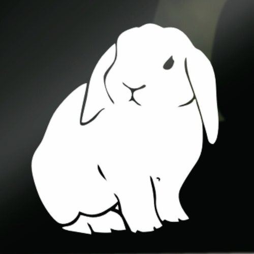 Peeking Bunny Decal - Etsy