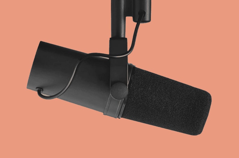 Fabfilter Pro-q 3 | Shure SM7B Presets - Etsy