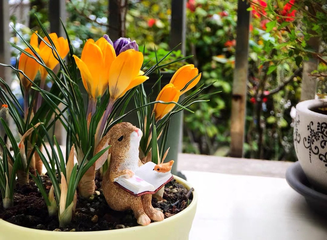 Miniature Cute Rabbit Reading Animal Statue Micro Landscape Decorations ...