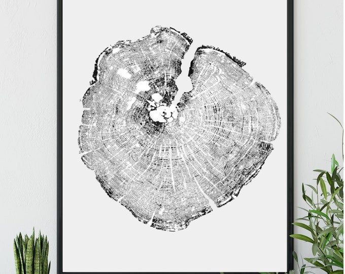 Handmade Cedar Tree Ring Art, 36X24 Inch Large Tree Stump Prints ...