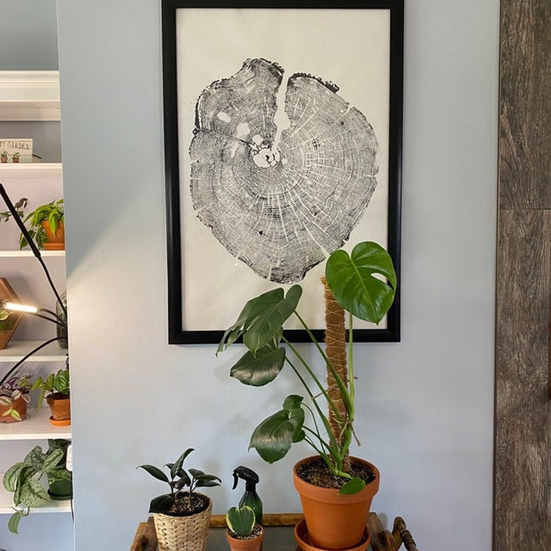 Handmade Cedar Tree Ring Art 36X24 Inch Large Tree Stump - Etsy Canada