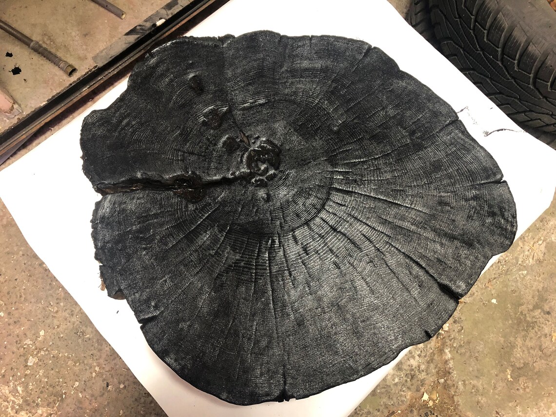 Handmade Cedar Tree Ring Art 36X24 Inch Large Tree Stump | Etsy Canada