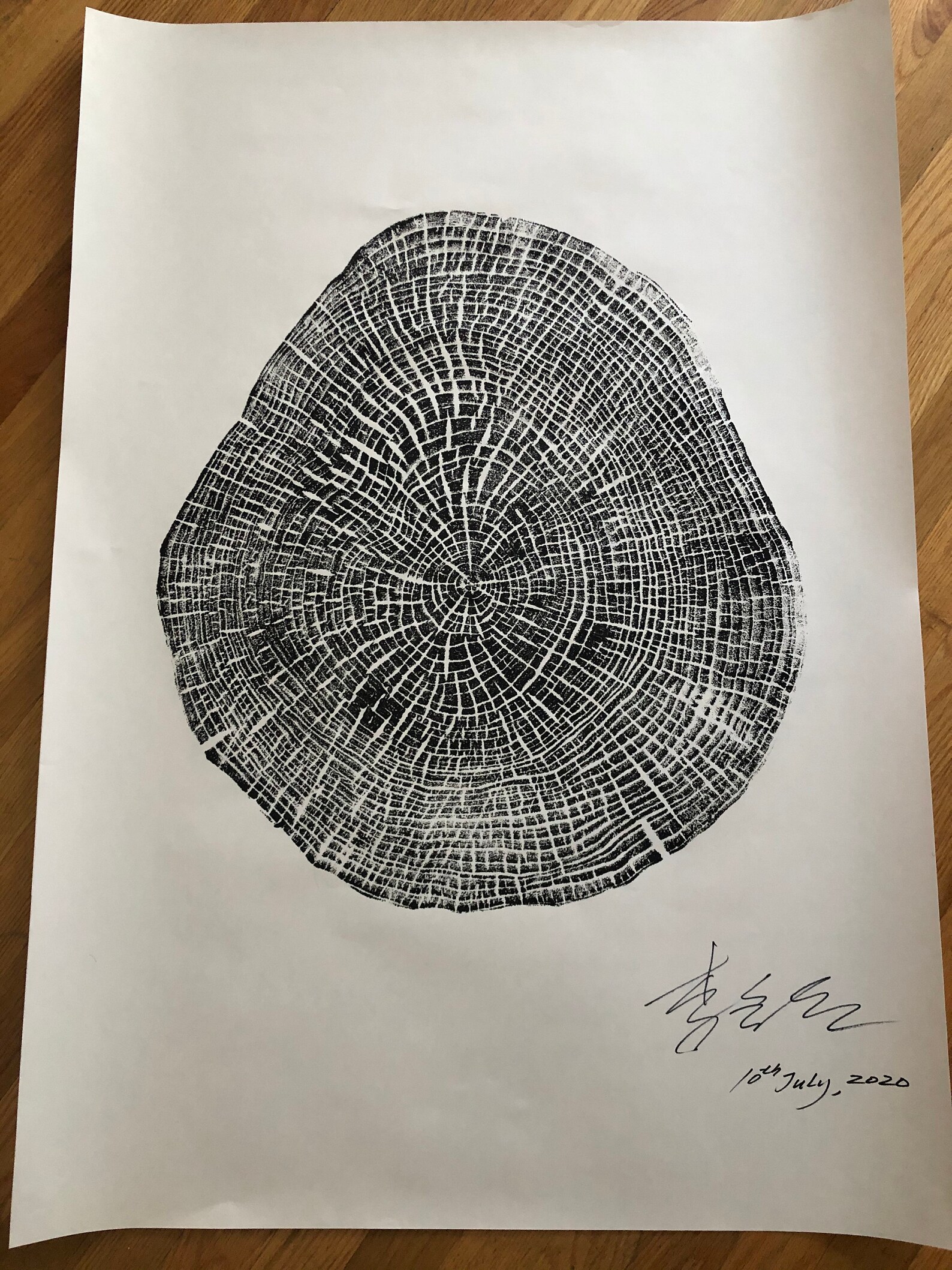Handmade Oak Tree Ring Art, 36X24 Inch Large Tree Stump Prints ...