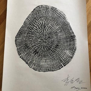 Handmade Oak Tree Ring Art, 36X24 Inch Large Tree Stump Prints ...
