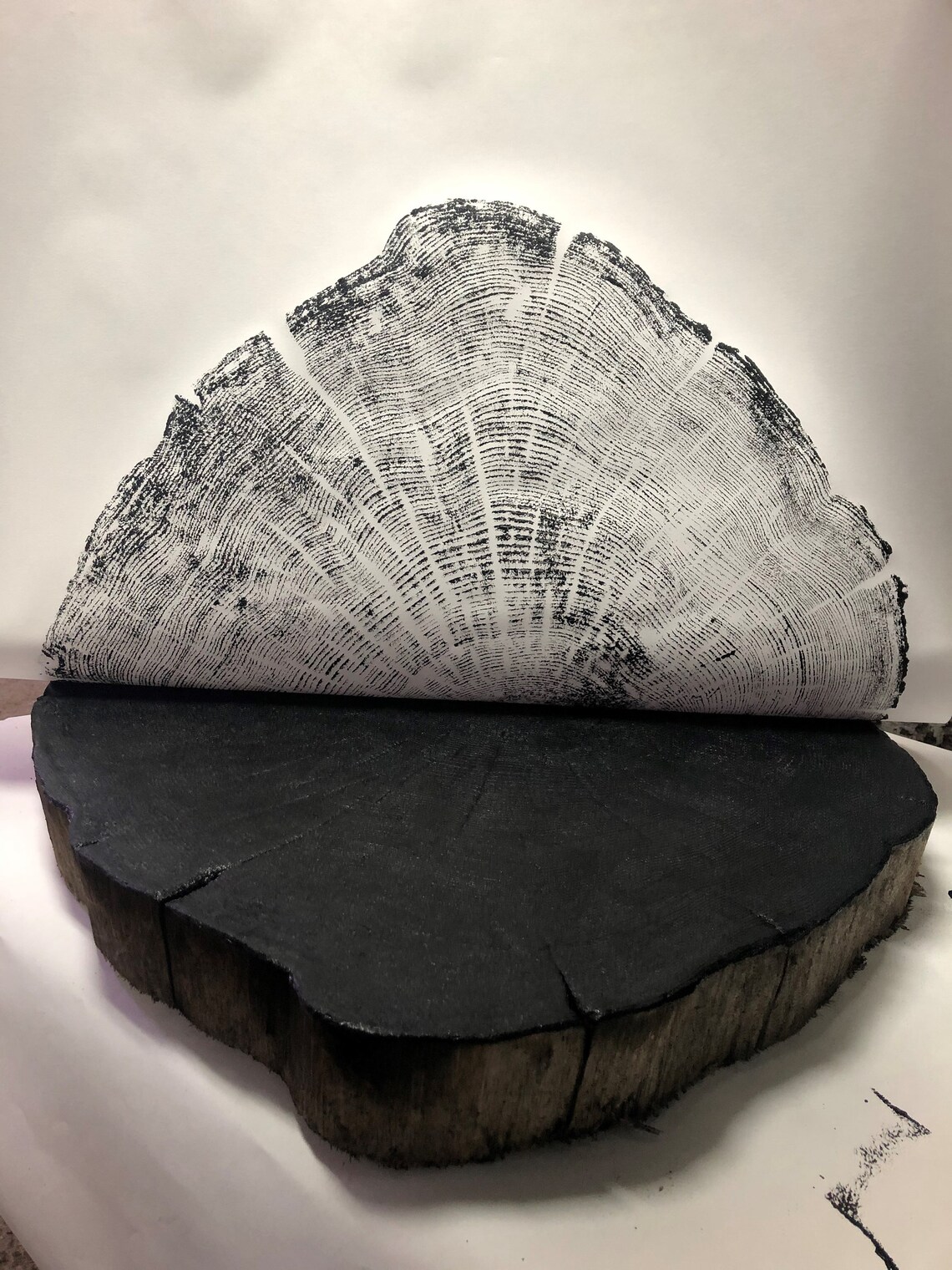 Handmade Cedar Tree Ring Art 36X24 Inch Large Tree Stump | Etsy Canada