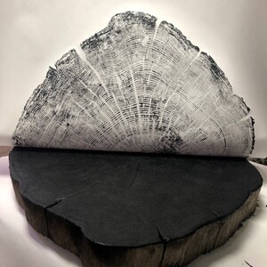 Handmade Cedar Tree Ring Art 36X24 Inch Large Tree Stump - Etsy Canada