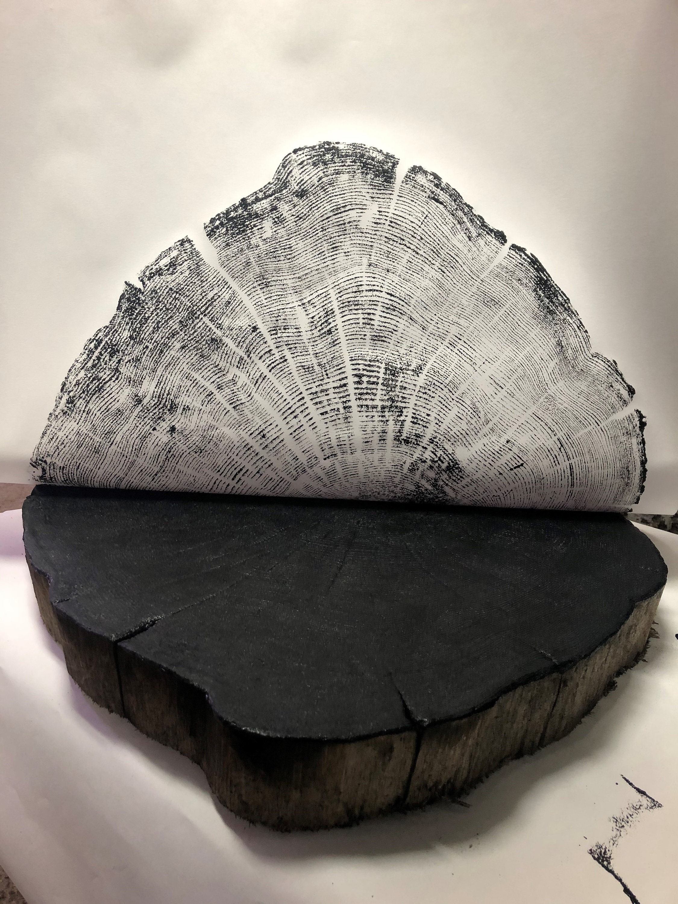 Handmade Cedar Tree Ring Art 36X24 Inch Large Tree Stump | Etsy Canada