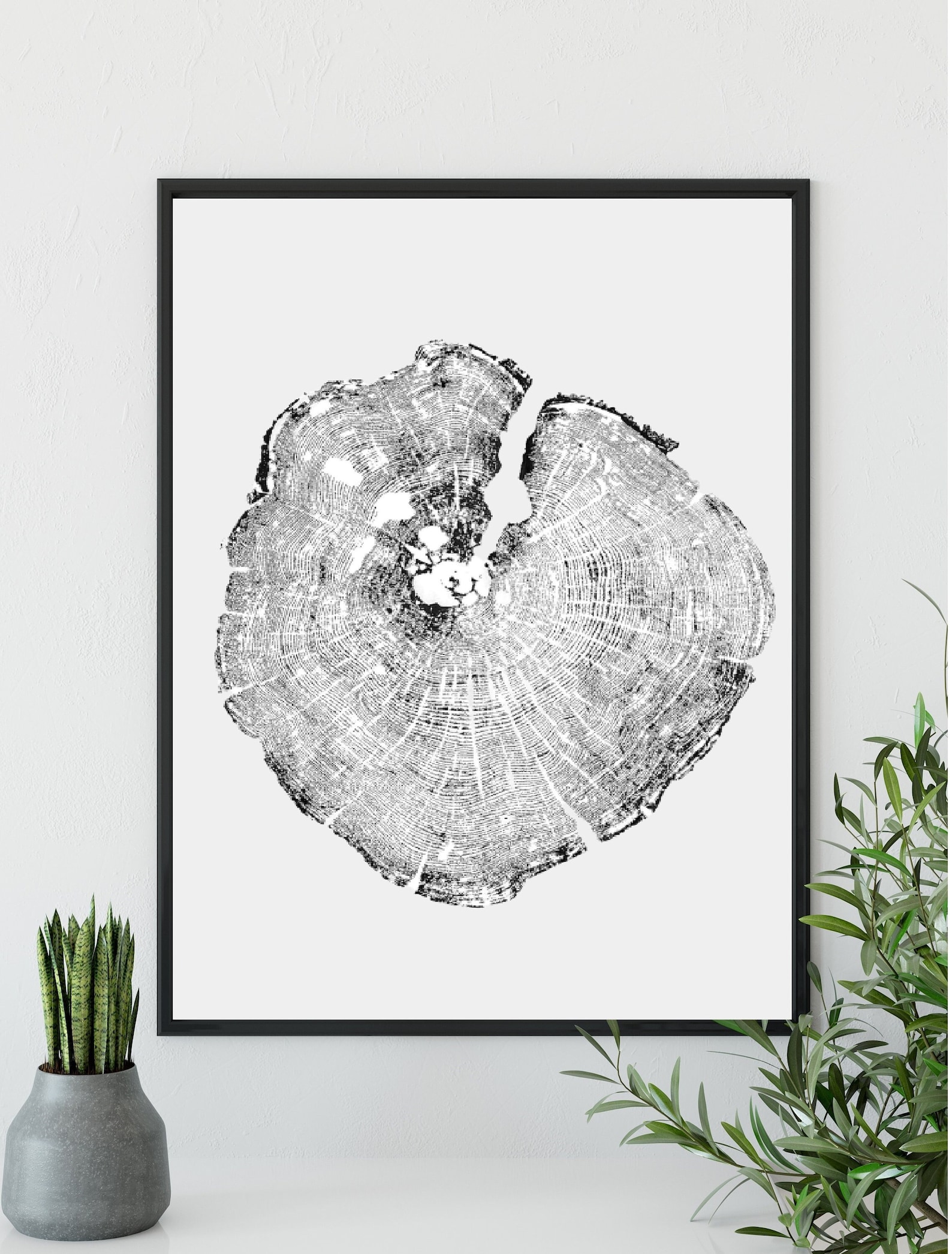 Handmade Cedar Tree Ring Art 36X24 Inch Large Tree Stump - Etsy