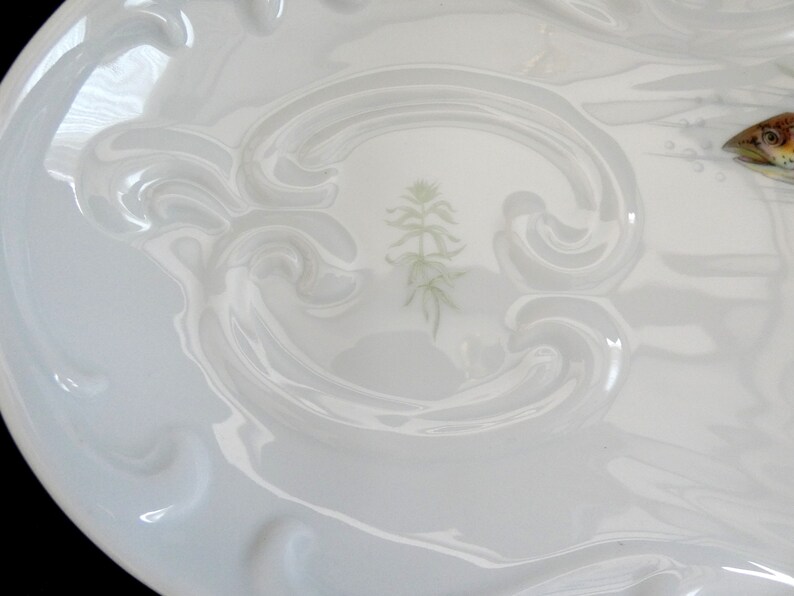 Large Limoges Porcelaine De Sologne Shell Shaped Plate - Etsy