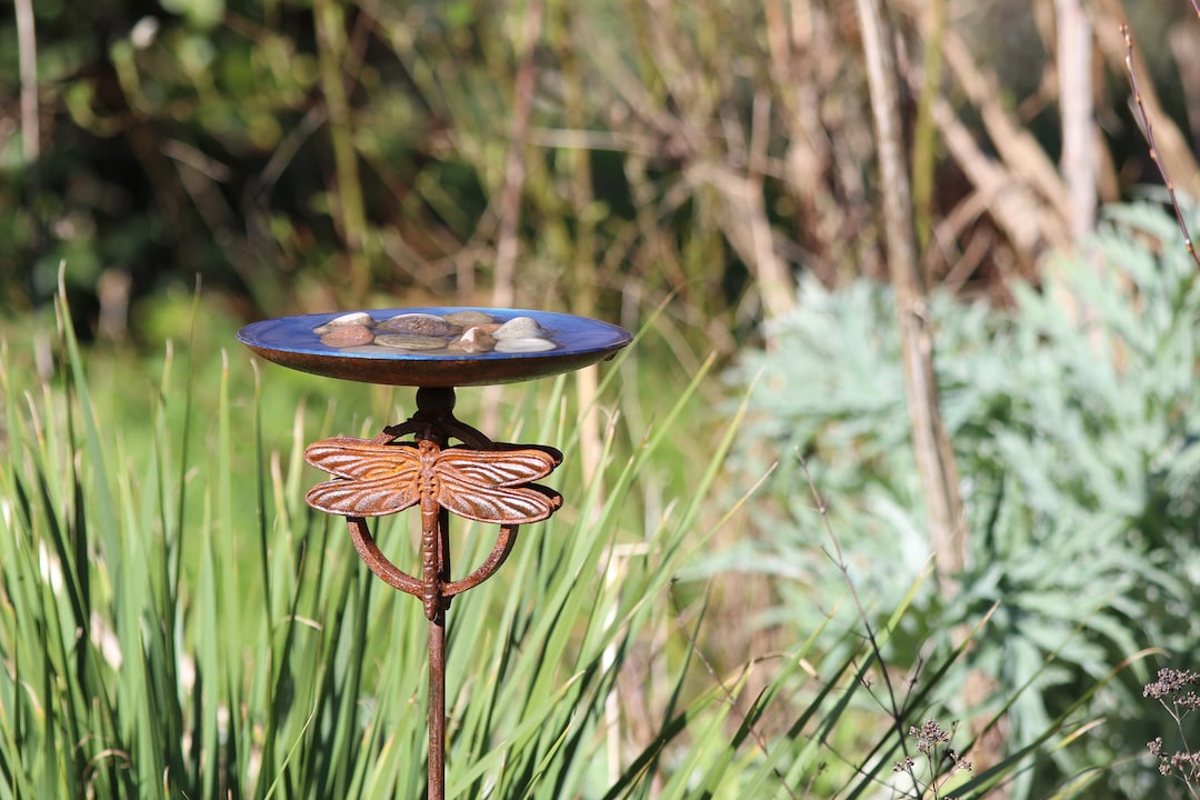 Wildlife Garden Water Dish, Bird Bath, Butterfly and Bee Water Bowl - Etsy