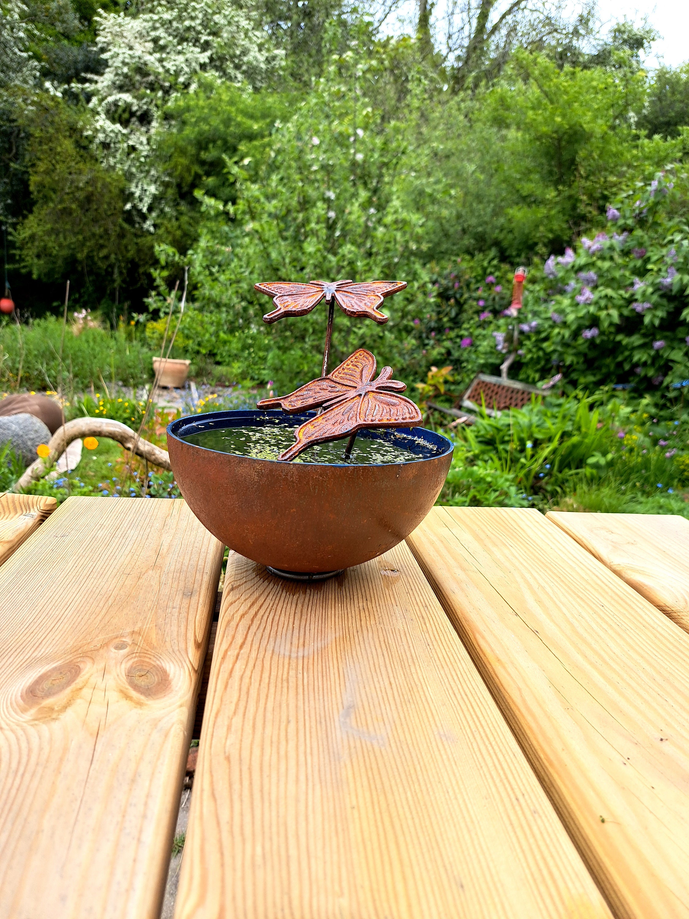 Mini Wildlife Pond, with Butterflies — Haywards Garden