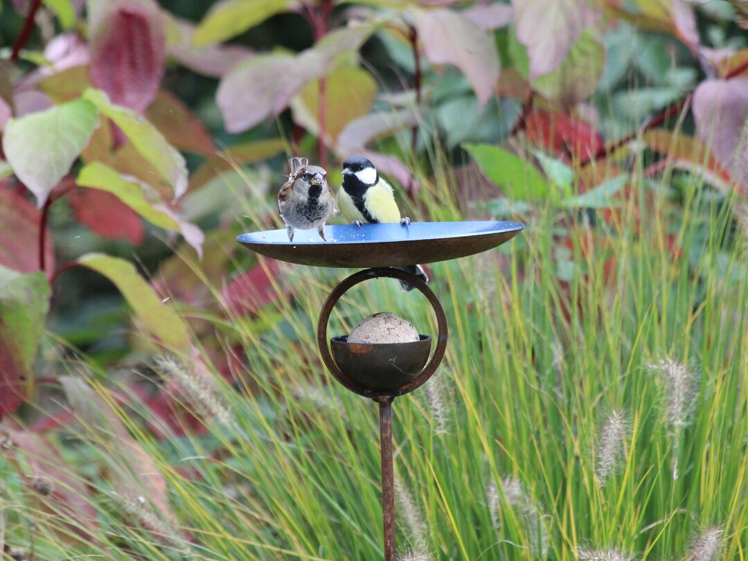 The Large Bird Feeder Stake Steal Bird Table Table. Bird - Etsy