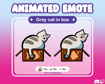 Grey Cat Themed Bongo Cat Emote for Twitch Streaming - Etsy