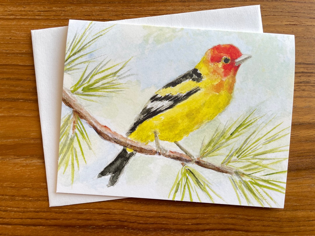 Western Tanager Watercolor Card: Birdwatcher Gift - Etsy