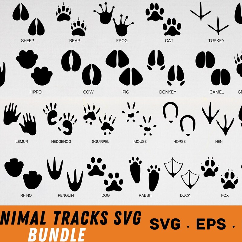 Animal Tracks Svg - Etsy
