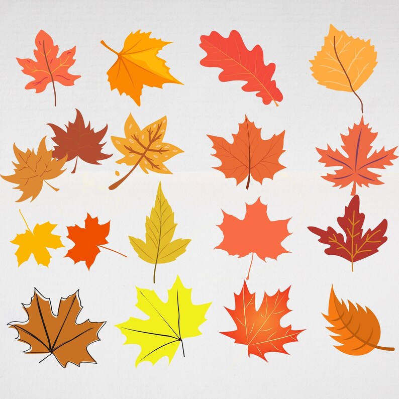 Fall Leaves Svg Fall Svg Fall Leaf Svg Bundle Fall Png Cut - Etsy