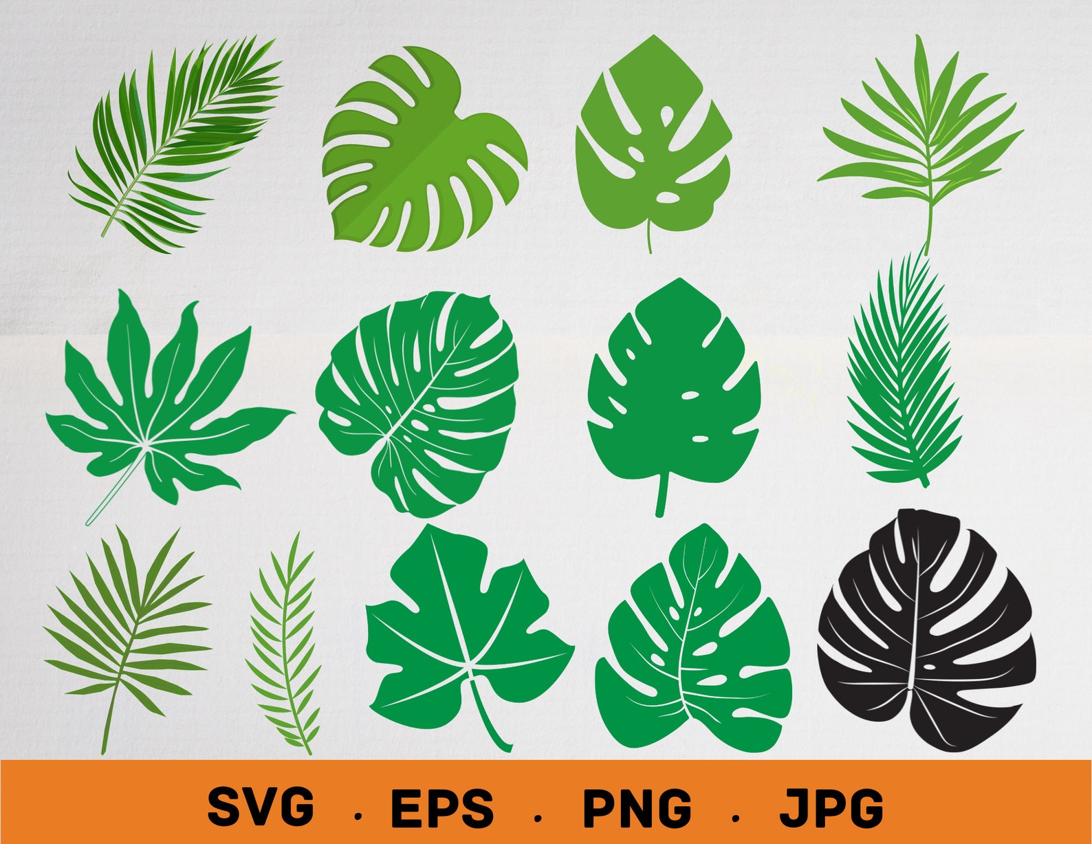 Tropical Leaves Svg Bundle Tropical Leaf Svg Palm Leaves - Etsy