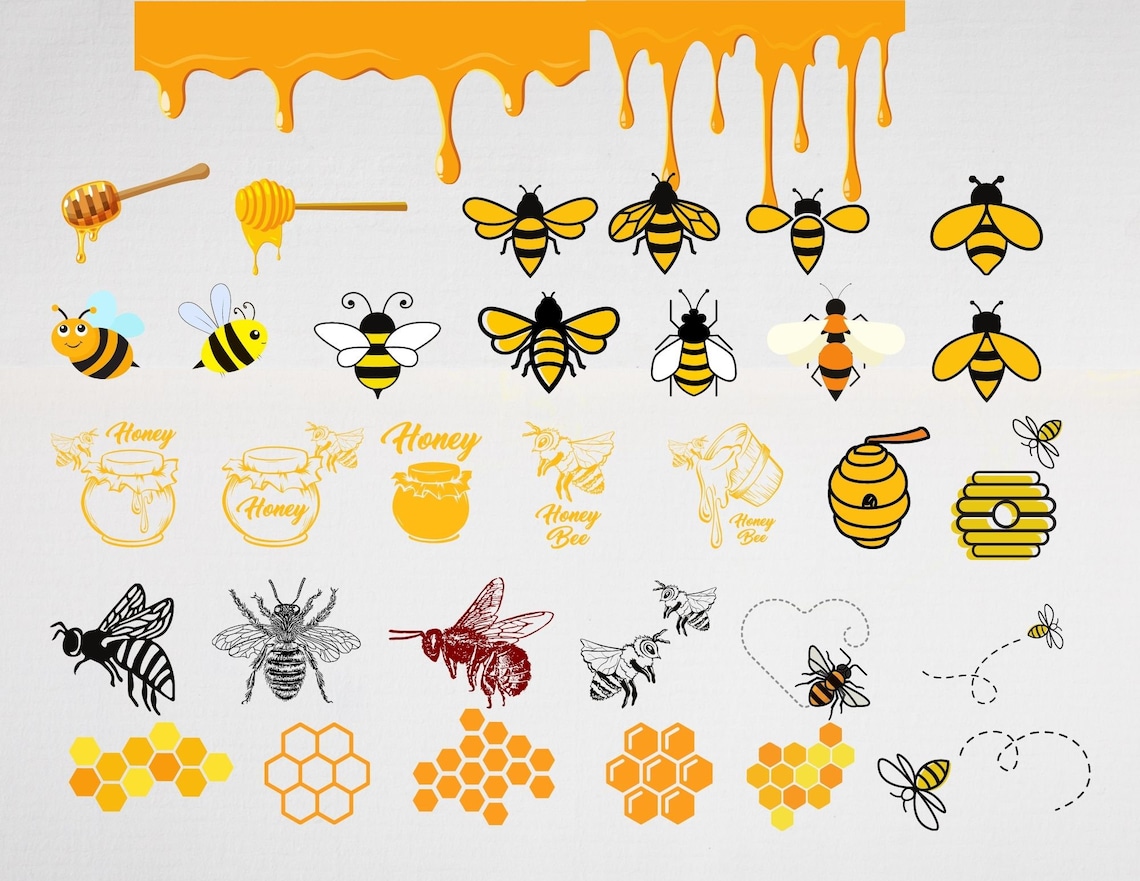 Bee Svg Bundle Bee Svg Bumble Bee Svg Honey Bee Svg Honey - Etsy
