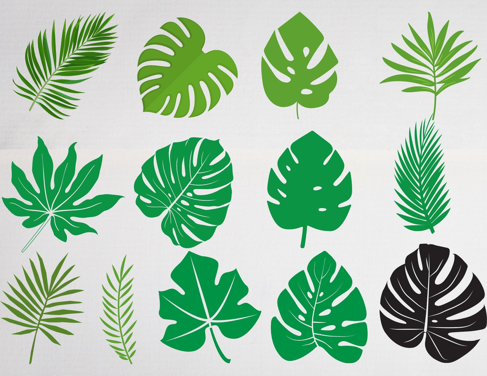 Tropical Leaves Svg Bundle Tropical Leaf Svg Palm Leaves Etsy